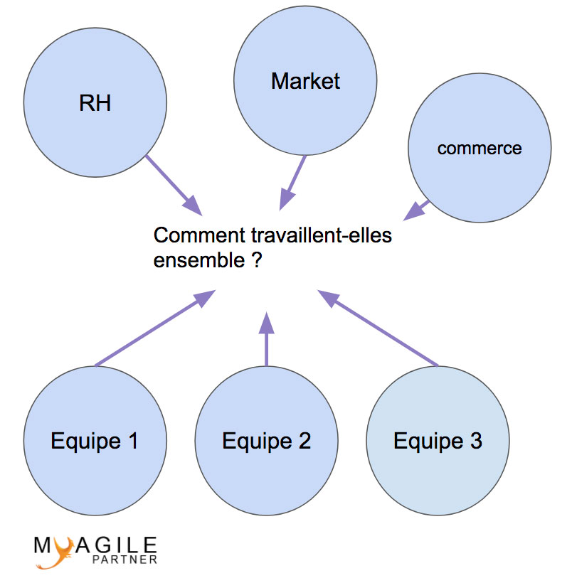 Qu'est-ce que l'agile à l'échelle ? - My Agile Partner Scrum