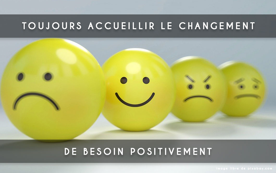 Toujours accueillir le changement de besoins positivement - My Agile ...