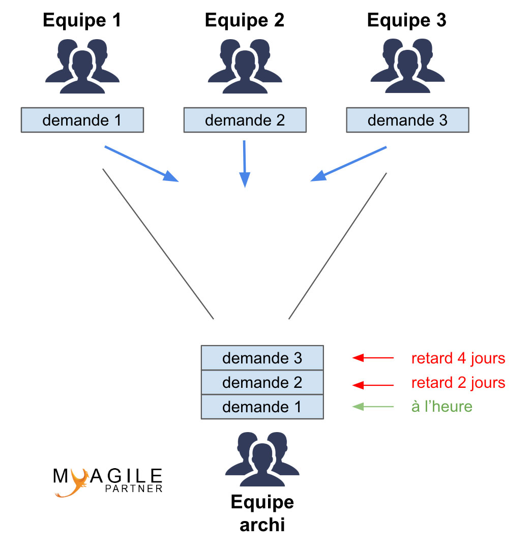 La pluridisciplinarité pour être encore plus agile ! - My Agile Partner ...