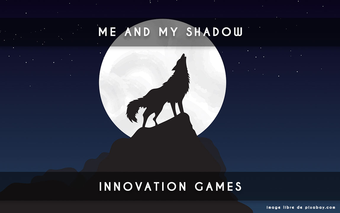 Me and My Shadow - Innovation Games - My Agile Partner Scrum