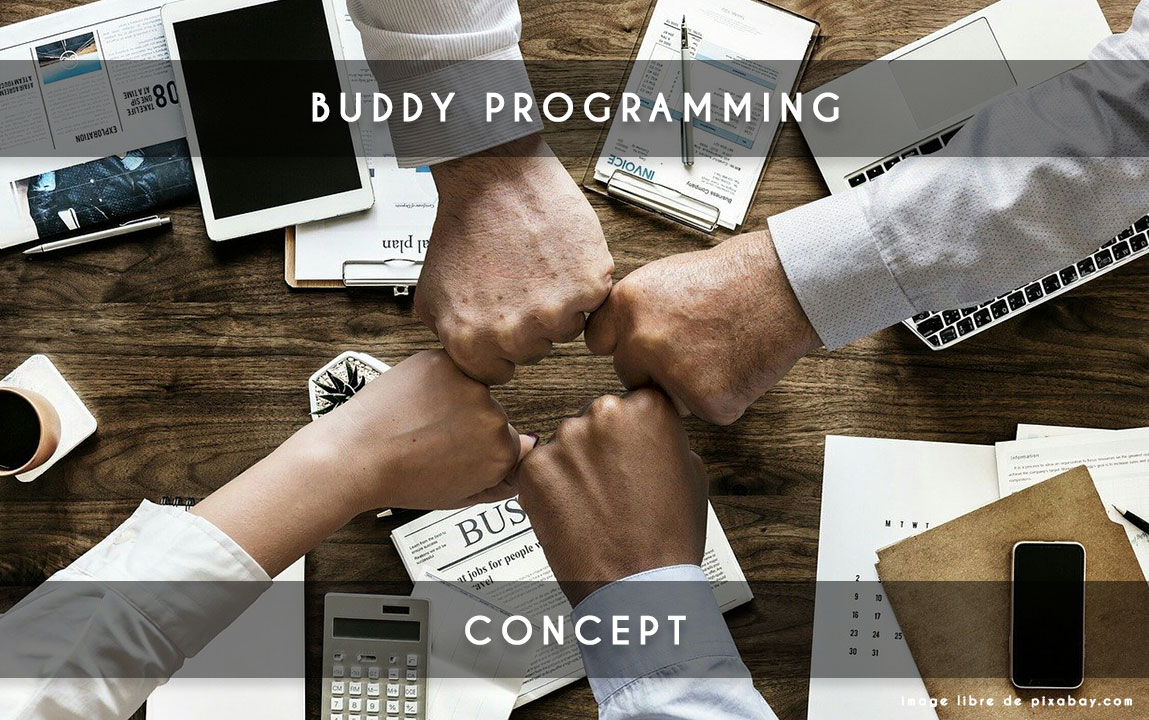 Buddy programming - My Agile Partner Scrum