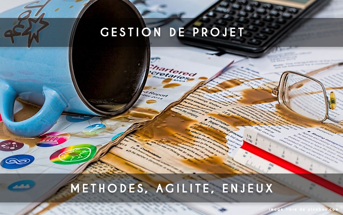Gestion de projet - méthodes, agilité, enjeux - My Agile Partner Scrum
